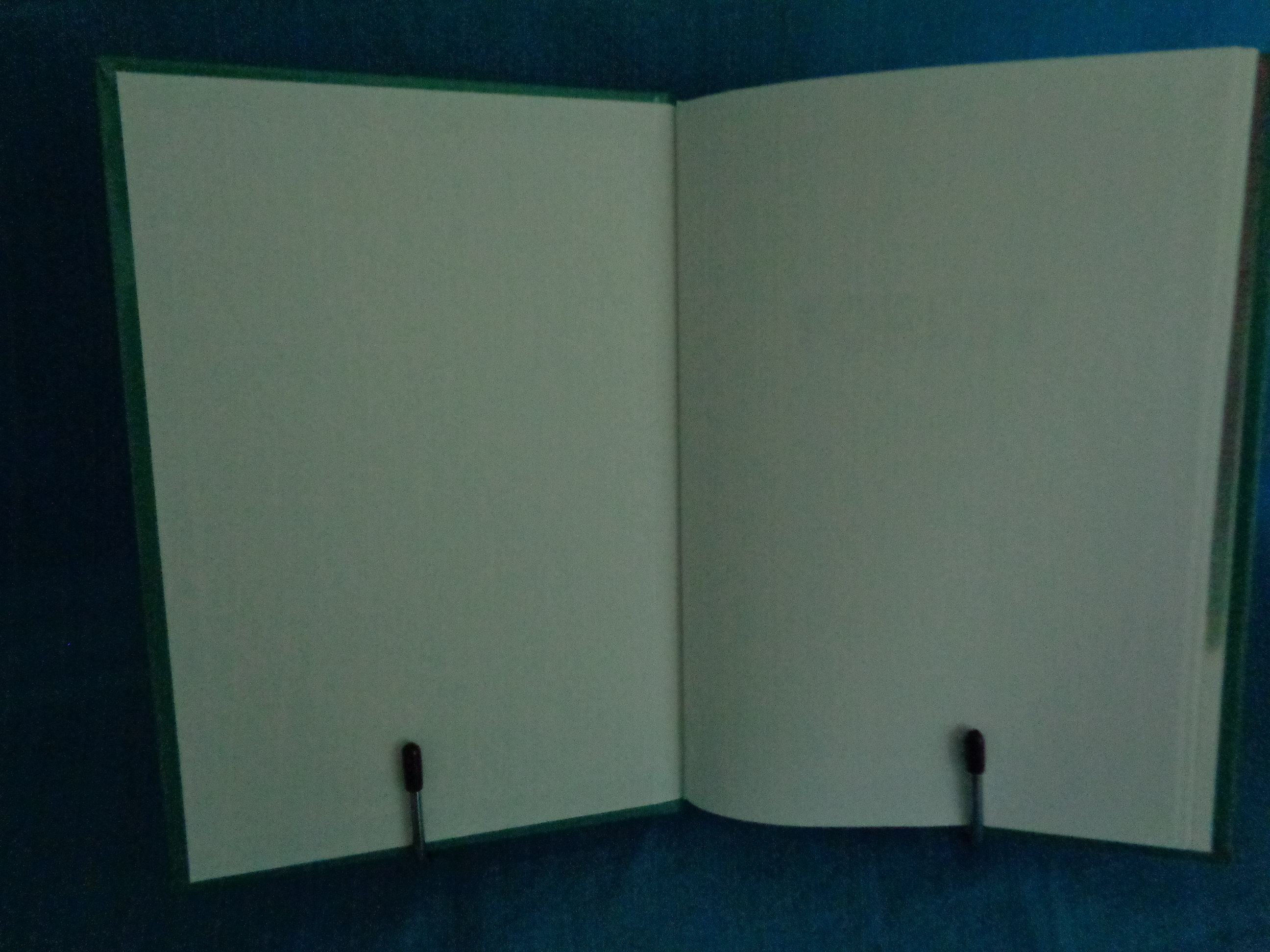 1998 Forest Book by Laura Godwin an I Can Read Book - Etsy