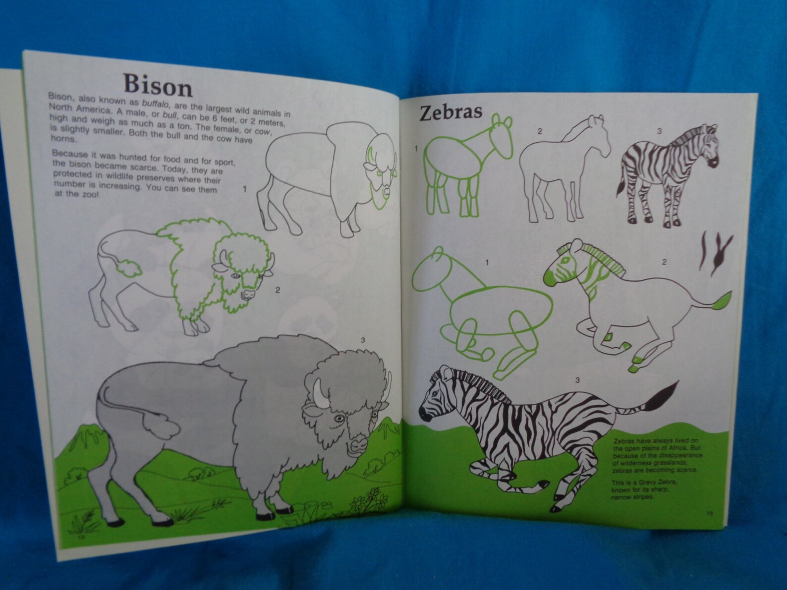 Vintage How to Draw Zoo Animals Book by Jocelyn Schrelber | Etsy