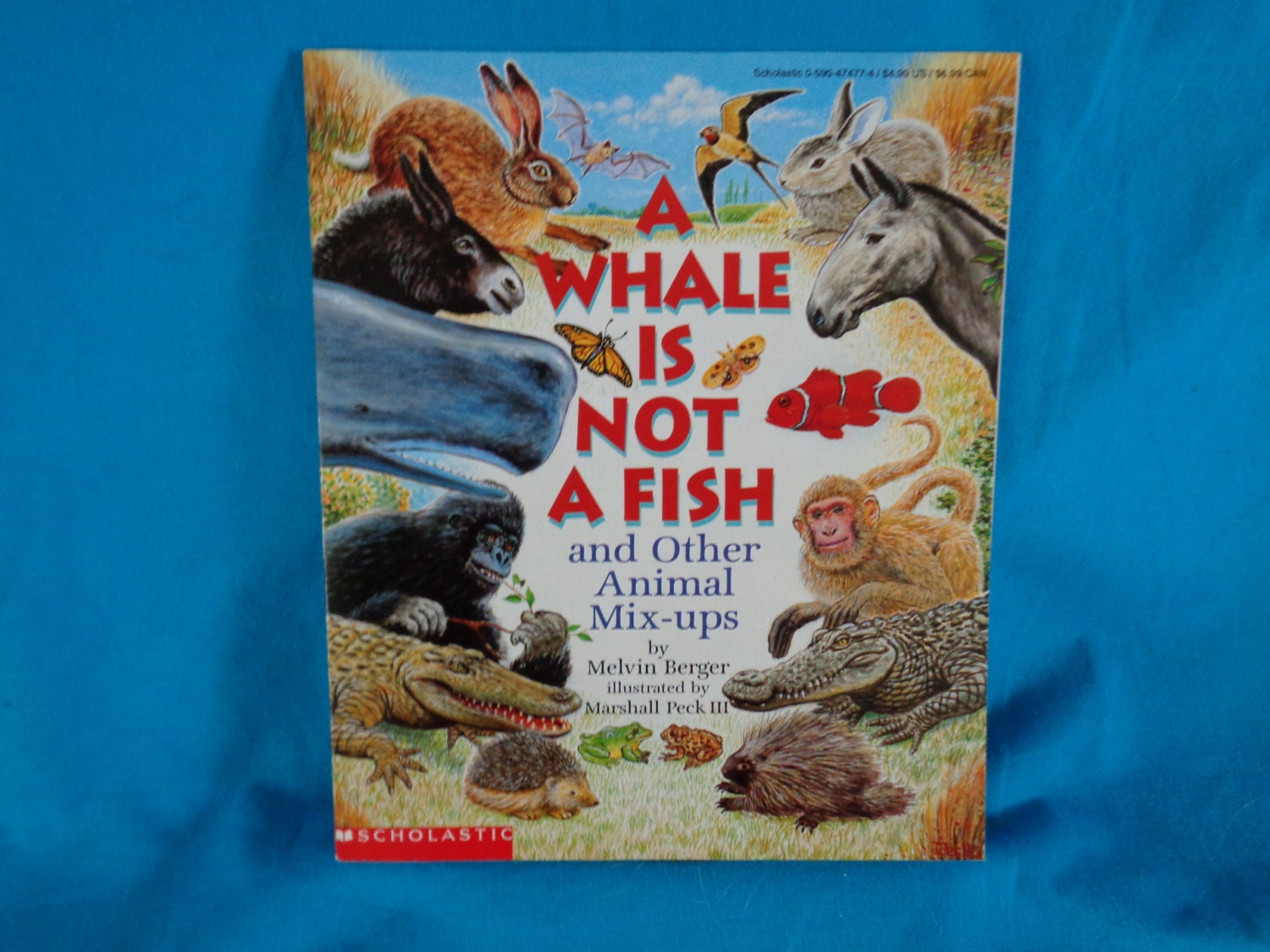 Vintage 1995 A Whale is Not a Fish and Other Animal Mix-ups Book by ...