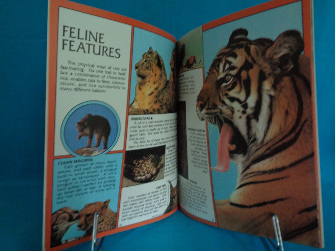 1994 Eyes on Nature Cats Book by Jane P. Resnick - Etsy