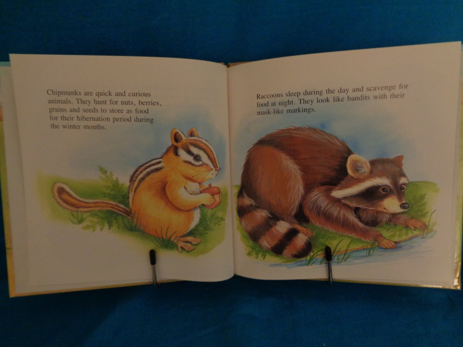 1993 Furry Wild Animals and Friends Share-a-book - Etsy