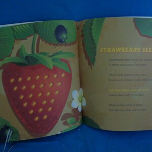 2001 the Grapes of Math Mind-stretching Math Riddles Book by Greg Tang ...