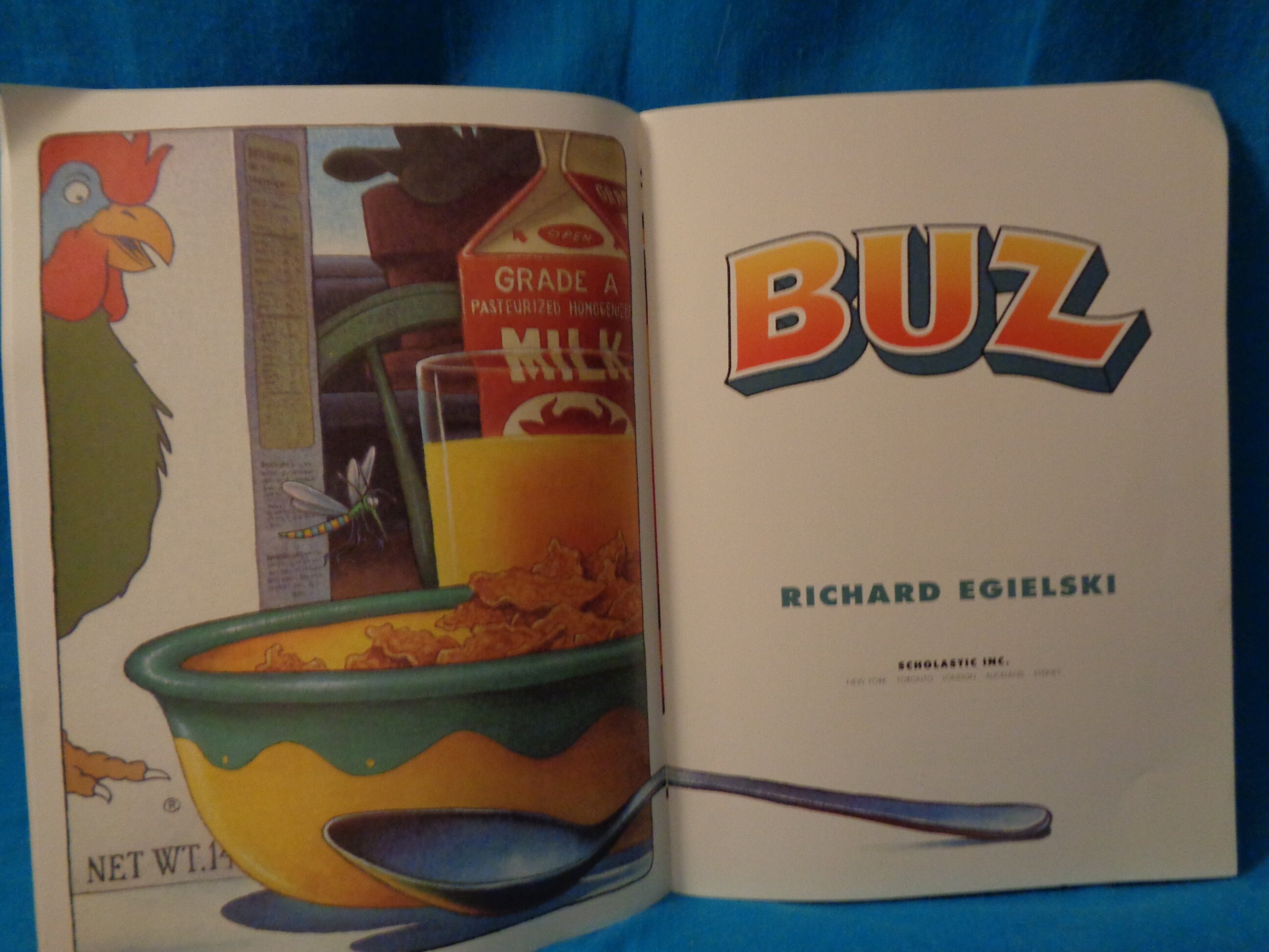Vintage 1997 Buz Book by Richard Egielski - Etsy Norway
