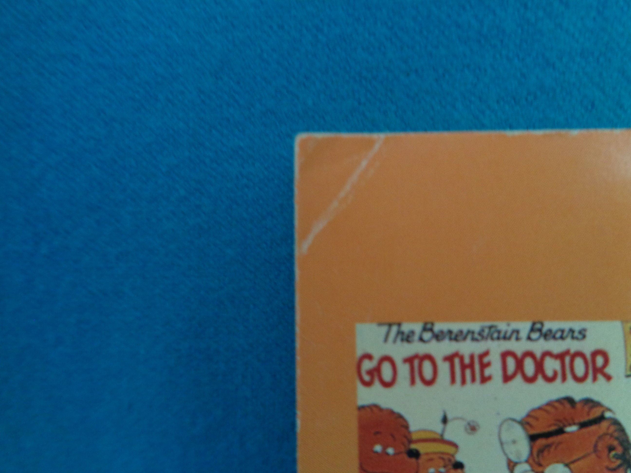 1995 the Berenstain Bears and Too Much Teasing Book by Stan & - Etsy