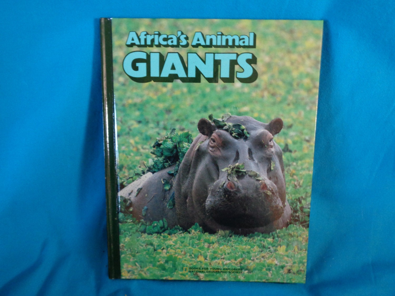 Vintage 1987 Africa's Animal Giants Book by Jane R. Mccauley Books for ...
