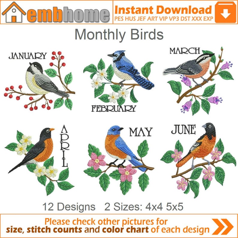Monthly Birds Machine Embroidery Designs Instant Download 4x4 5x5 Hoop ...