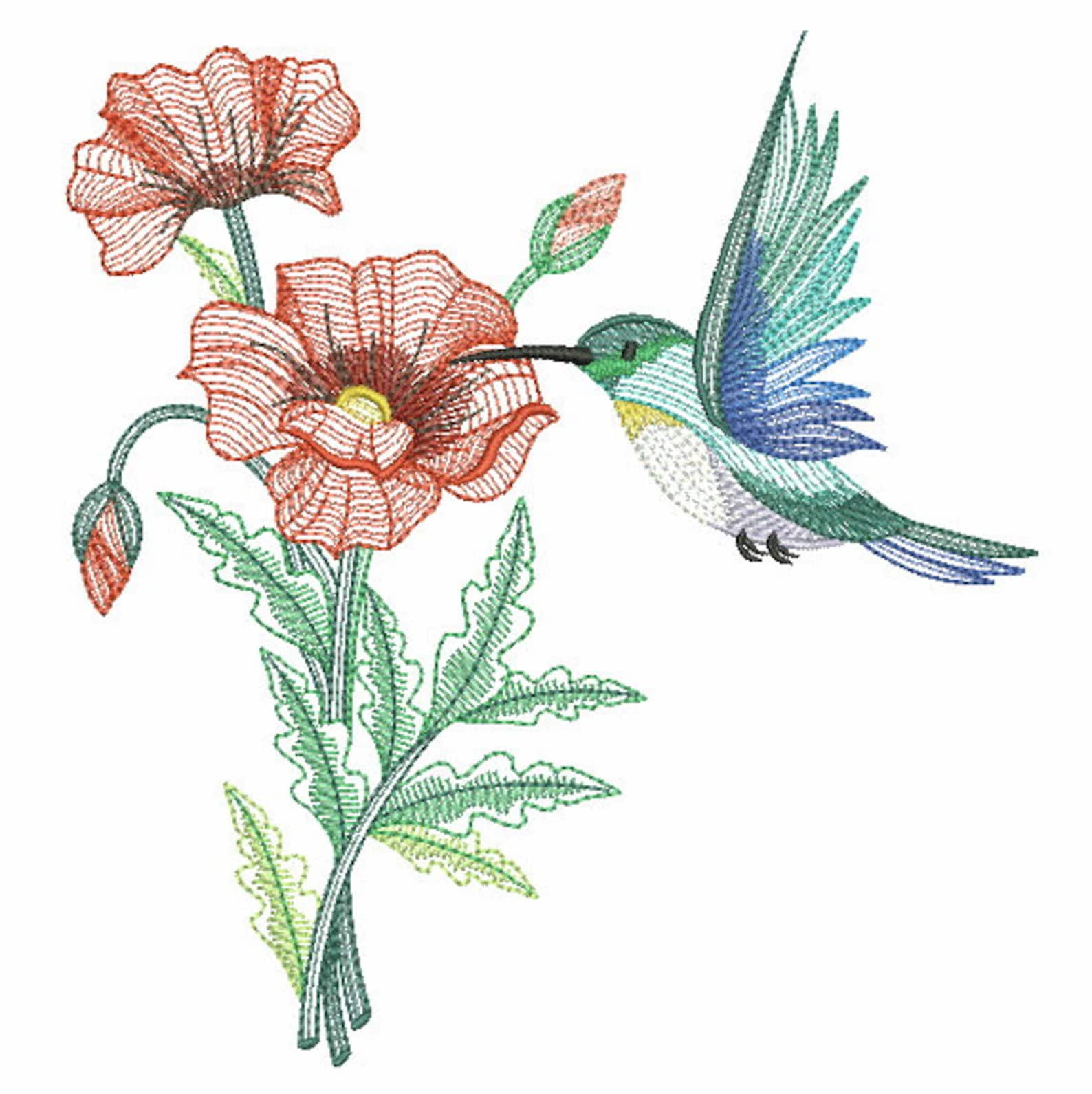 Elegant Hummingbirds Machine Embroidery Designs Pack Instant - Etsy