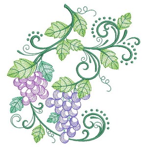 Filigree Fruit Machine Embroidery Designs Pack Instant Download 5x5 6x6 ...