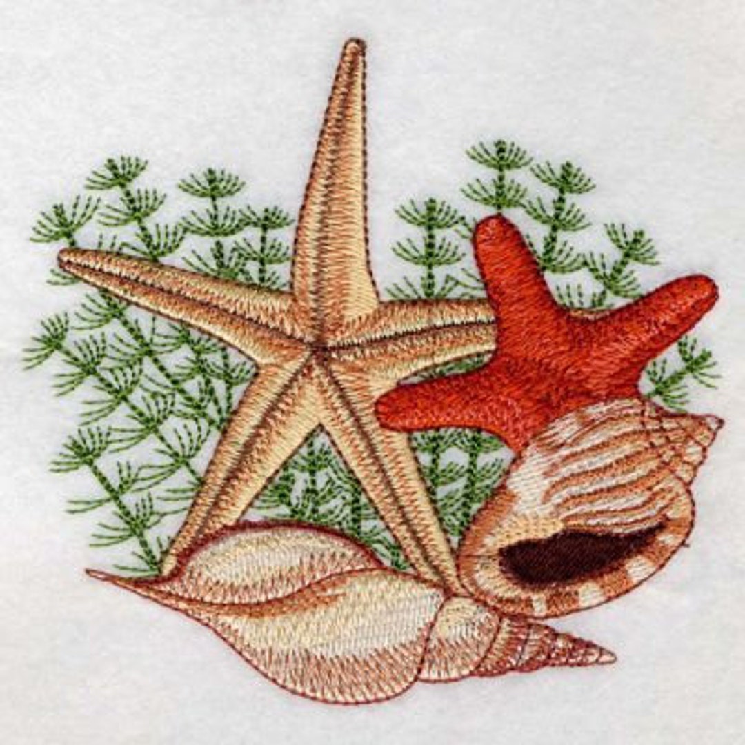 Seashell Summer Holiday Machine Embroidery Design Instant Download 4x4 ...