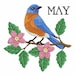 Monthly Birds Machine Embroidery Designs Instant Download 4x4 5x5 Hoop ...