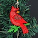 FSL Christmas Cardinal Free Standing Lace Machine Embroidery Designs ...