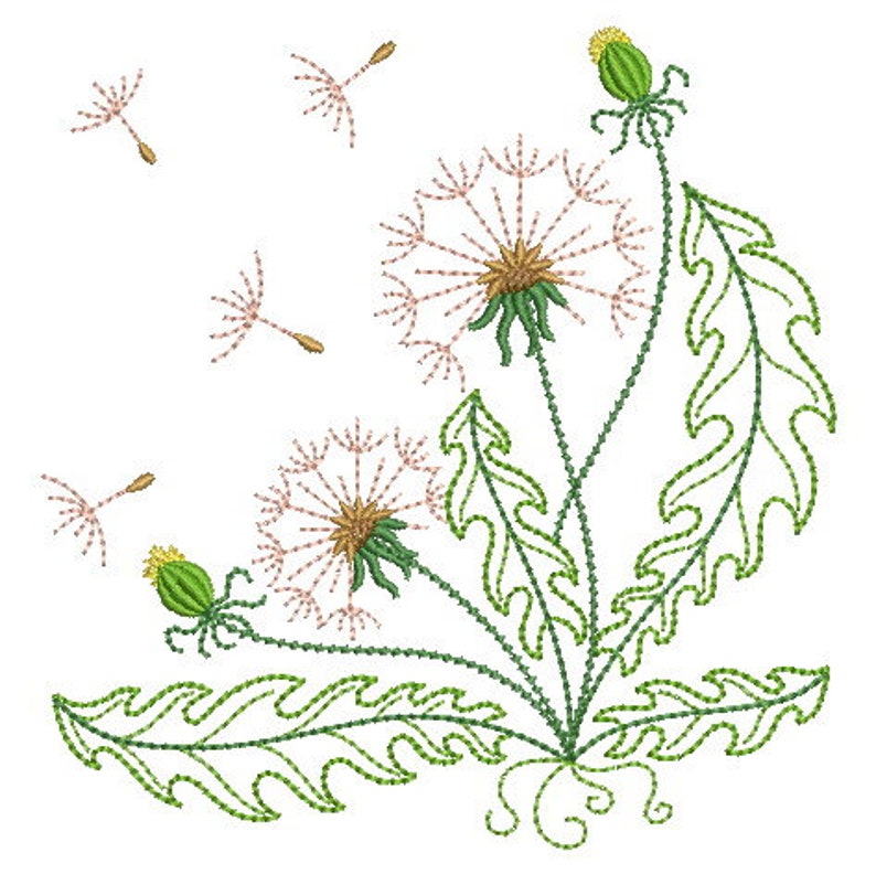 Vintage Dandelion Embroidery Designs Instant Download 4x4 5x5 - Etsy