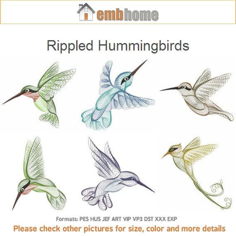 Rippled Hummingbirds Machine Embroidery Designs Instant - Etsy