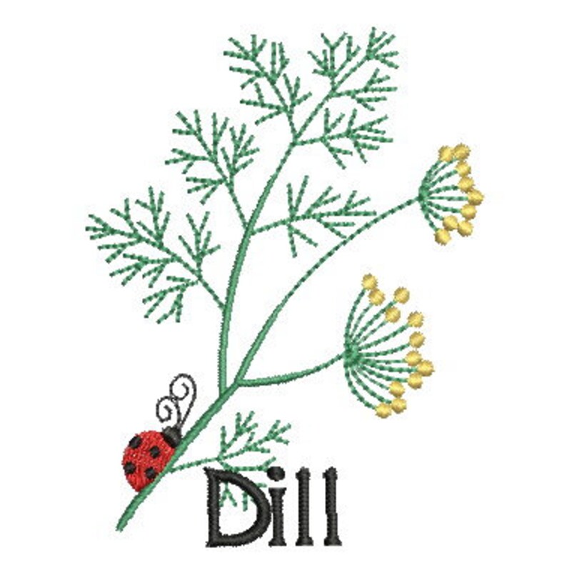 Kitchen Herbs Machine Embroidery Designs Instant Download 4x4 - Etsy