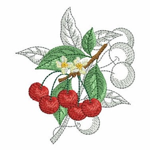 Fresh Fruits Machine Embroidery Designs Pack Instant Download 4x4 5x5 ...