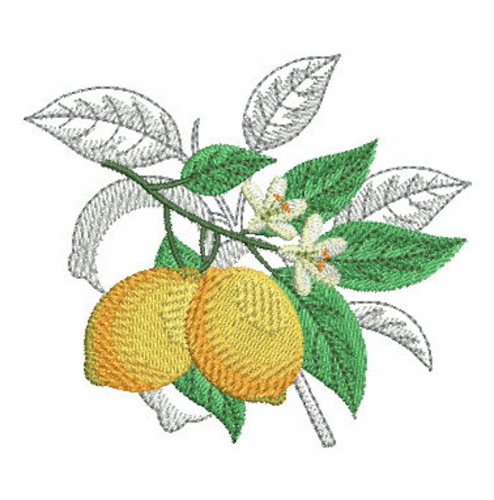 Fresh Fruits Machine Embroidery Designs Pack Instant Download - Etsy