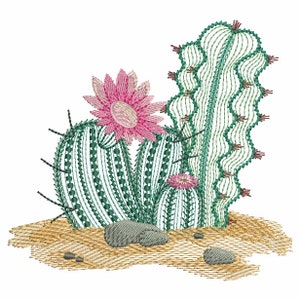 Cactus Machine Embroidery Designs Instant Download 4x4 5x5 Hoop 10 ...