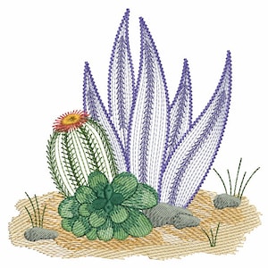 Cactus Machine Embroidery Designs Instant Download 4x4 5x5 Hoop 10 ...