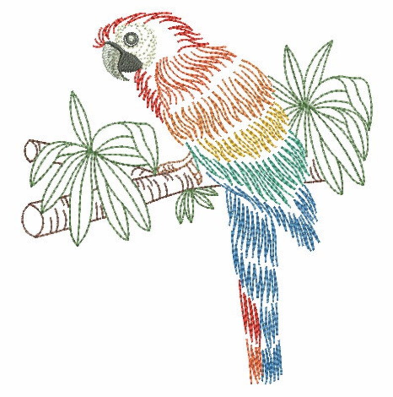Vintage Parrots Machine Embroidery Designs Pack Instant Download 4x4 ...