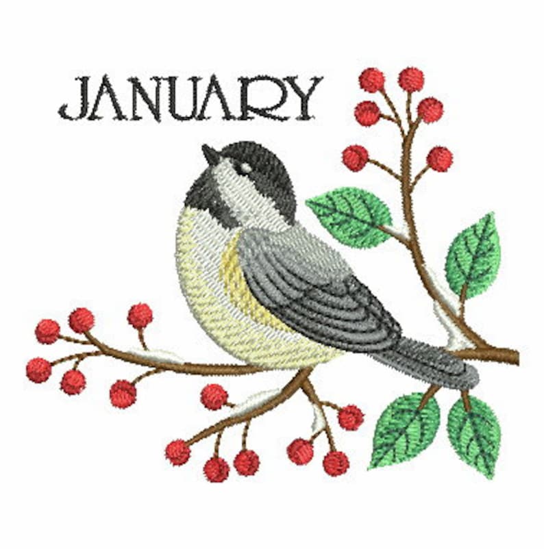Monthly Birds Machine Embroidery Designs Instant Download 4x4 5x5 Hoop ...