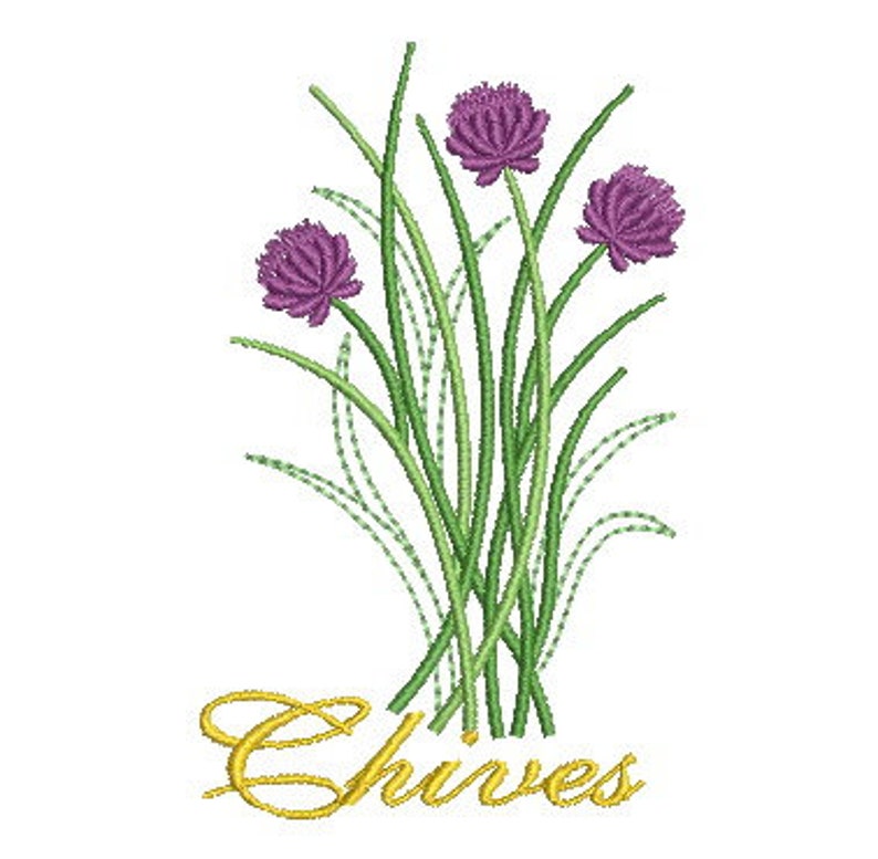 Kitchen Herbs Machine Embroidery Designs Instant Download 4x4 - Etsy ...