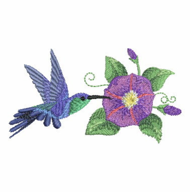 Watercolor Hummingbird and Flowers Embroidery Designs Instant Download ...