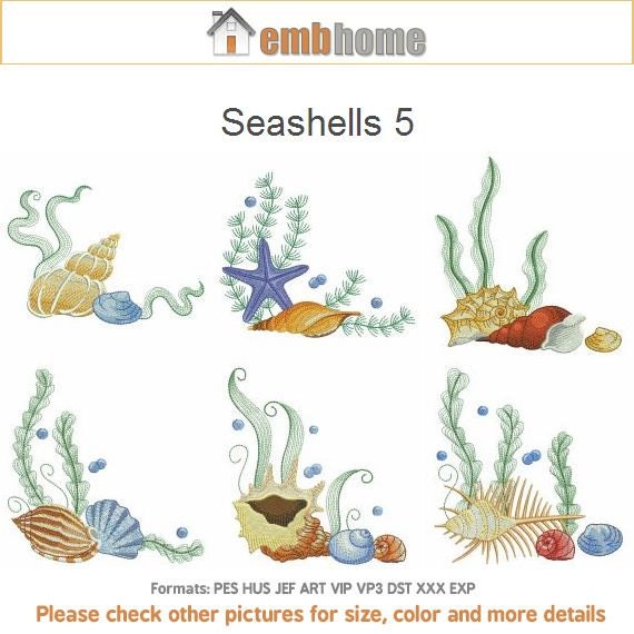 Seashells Machine Embroidery Designs Instant Download 4x4 5x5 | Etsy