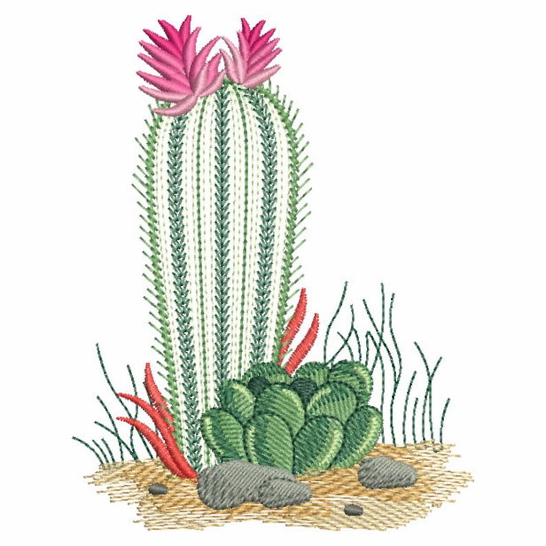 Cactus Machine Embroidery Designs Instant Download 4x4 5x5 - Etsy