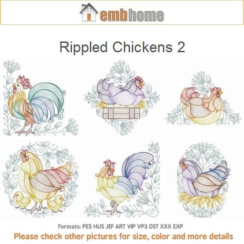 Rippled Chickens Machine Embroidery Designs Instant Download | Etsy