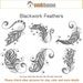 Blackwork Feathers Machine Embroidery Designs Pack Instant | Etsy