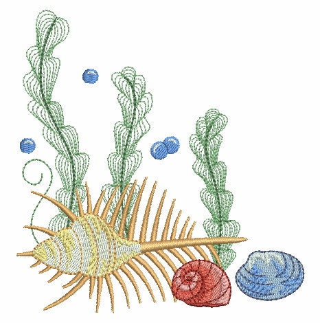Seashells Machine Embroidery Designs Instant Download 4x4 5x5 6x6 Hoop ...