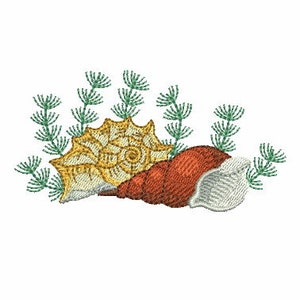 Seashells Machine Embroidery Designs Pack Instant Download 4x4 Hoop 11 ...