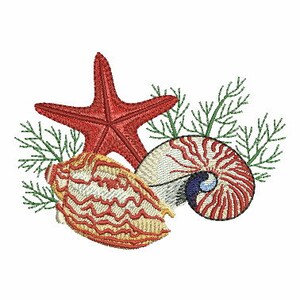 Seashells Machine Embroidery Designs Pack Instant Download 4x4 Hoop 11 ...