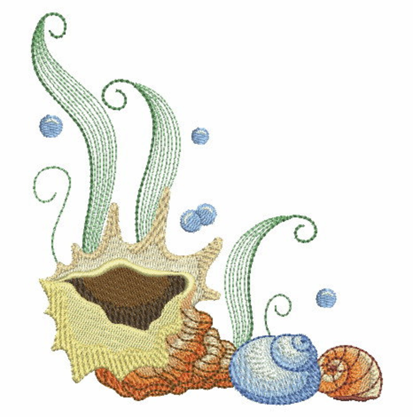 Seashells Machine Embroidery Designs Instant Download 4x4 5x5 6x6 Hoop ...