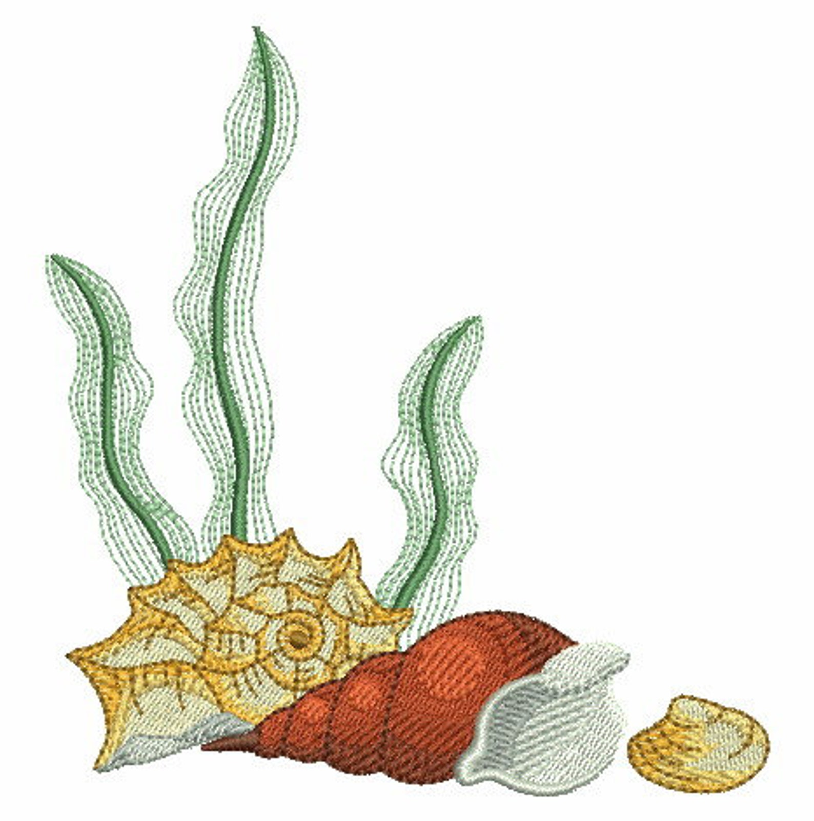 Seashells Machine Embroidery Designs Instant Download 4x4 5x5 6x6 Hoop ...
