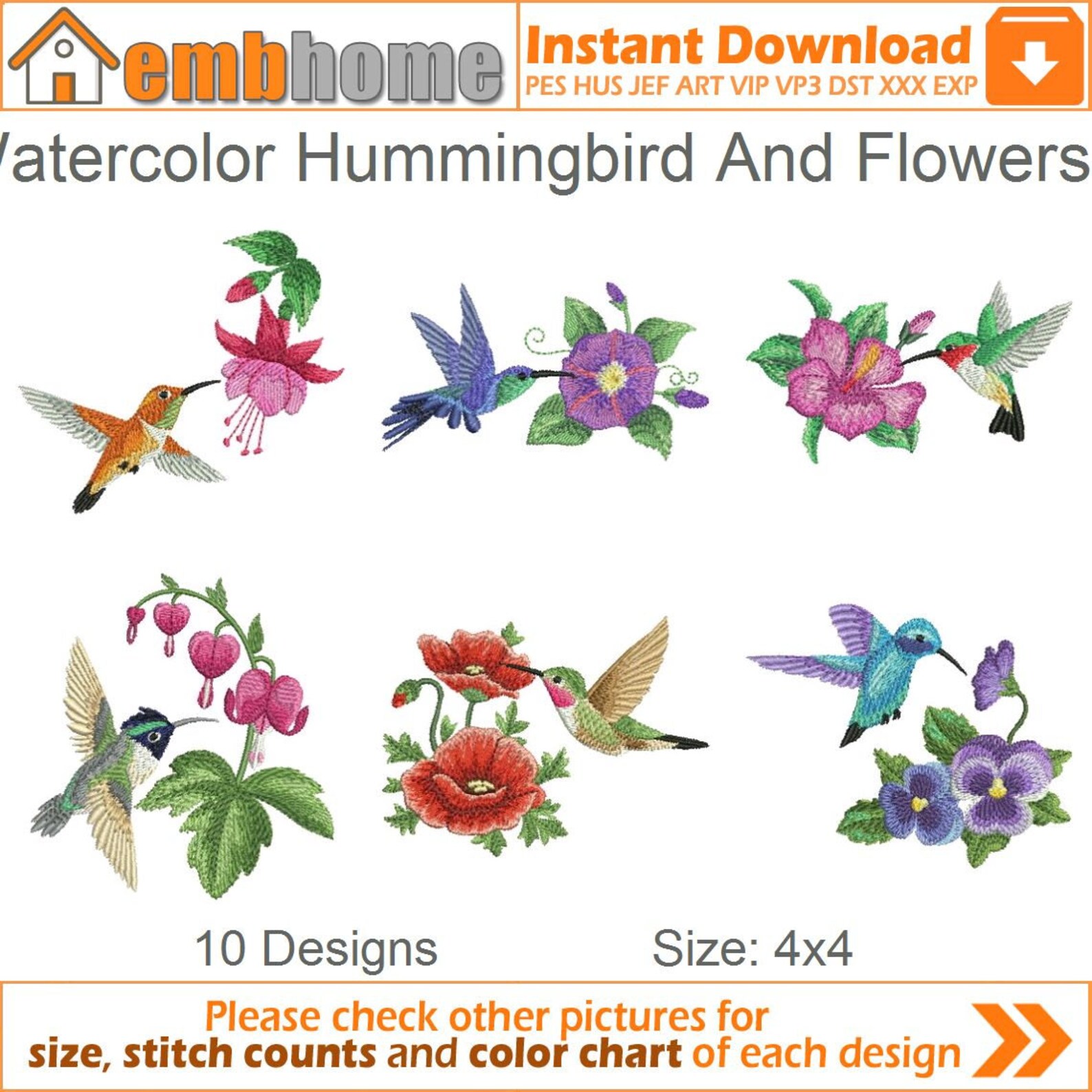 Watercolor Hummingbird and Flowers Embroidery Designs Instant Download ...