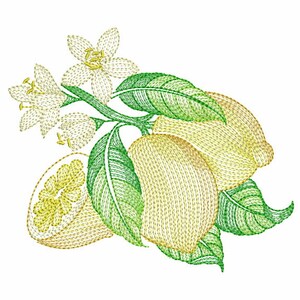 Lemons Machine Embroidery Designs Instant Download 4x4 5x5 6x6 Hoop 9 ...