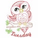 Days of the Week Owls Machine Embroidery Designs Pack Instant Download ...