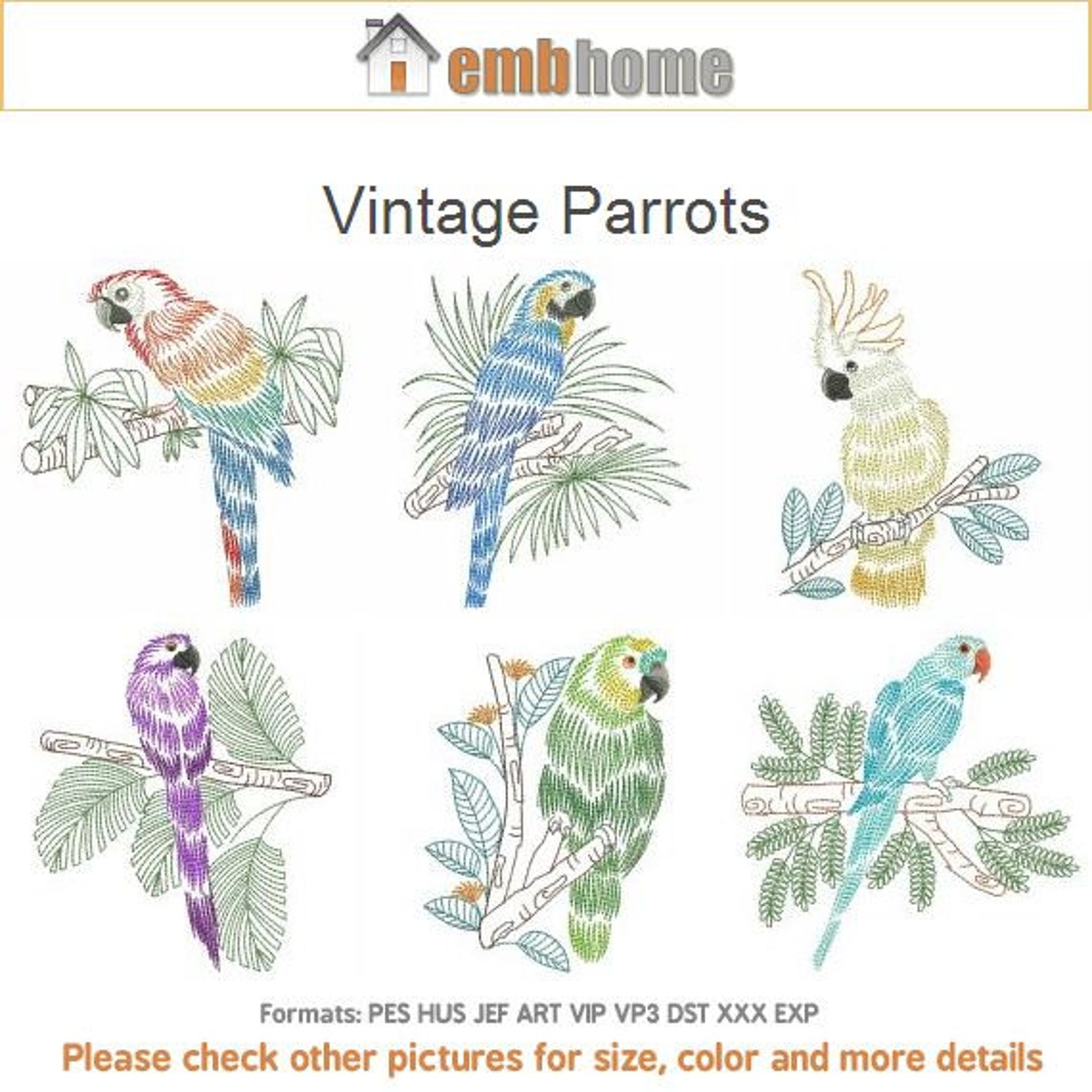Vintage Parrots Machine Embroidery Designs Pack Instant - Etsy