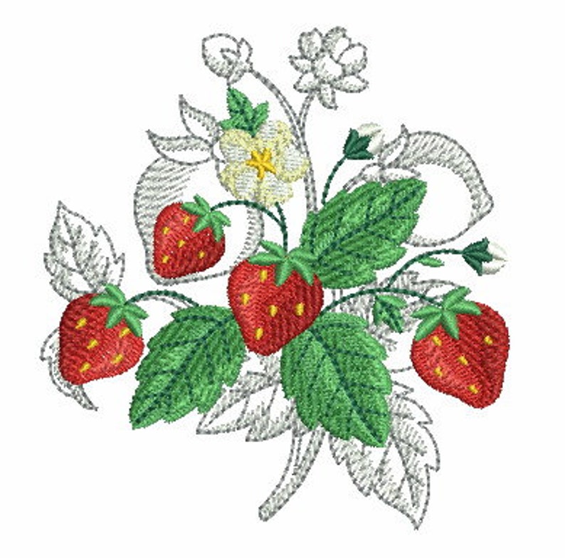 Fresh Fruits Machine Embroidery Designs Pack Instant Download - Etsy