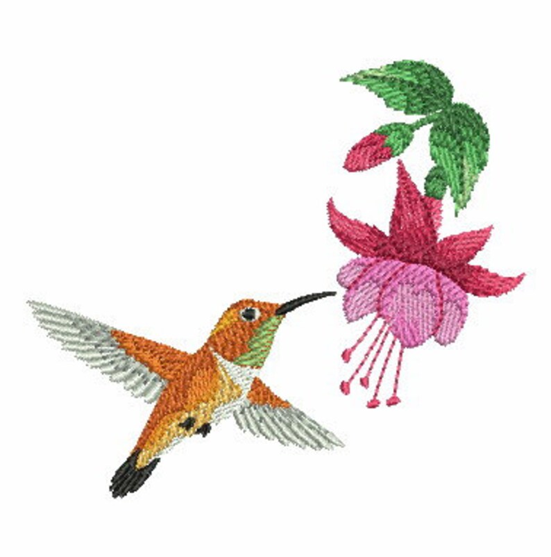 Watercolor Hummingbird and Flowers Embroidery Designs Instant Download ...