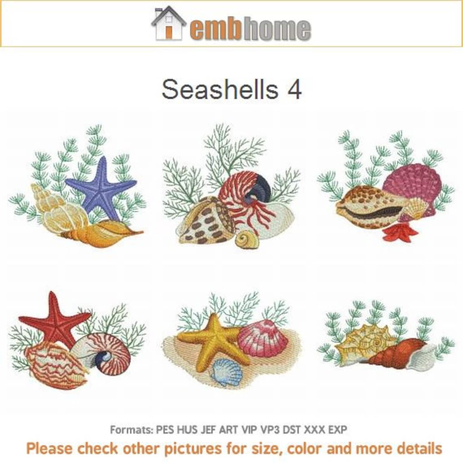Seashells Machine Embroidery Designs Pack Instant Download 4x4 - Etsy