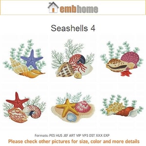 Seashells Machine Embroidery Designs Pack Instant Download 4x4 - Etsy