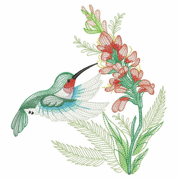 Elegant Hummingbirds Machine Embroidery Designs Pack Instant - Etsy