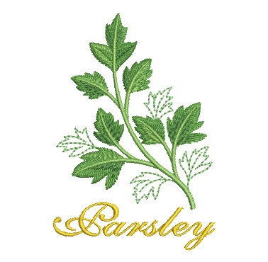 Kitchen Herbs Machine Embroidery Designs Instant Download 4x4 - Etsy ...