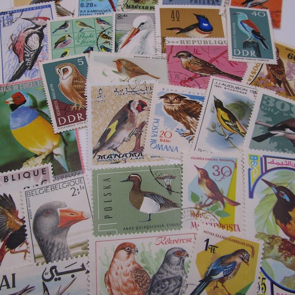 Vintage Bird Stamps - Etsy