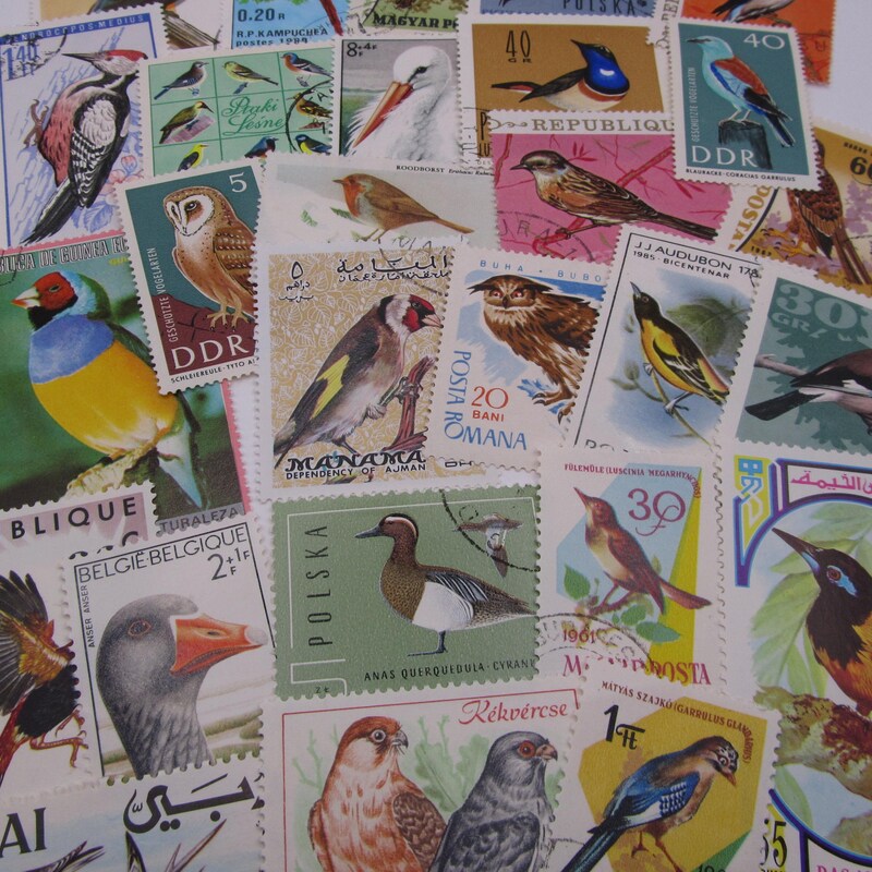 Bird Rubber Stamps - Etsy