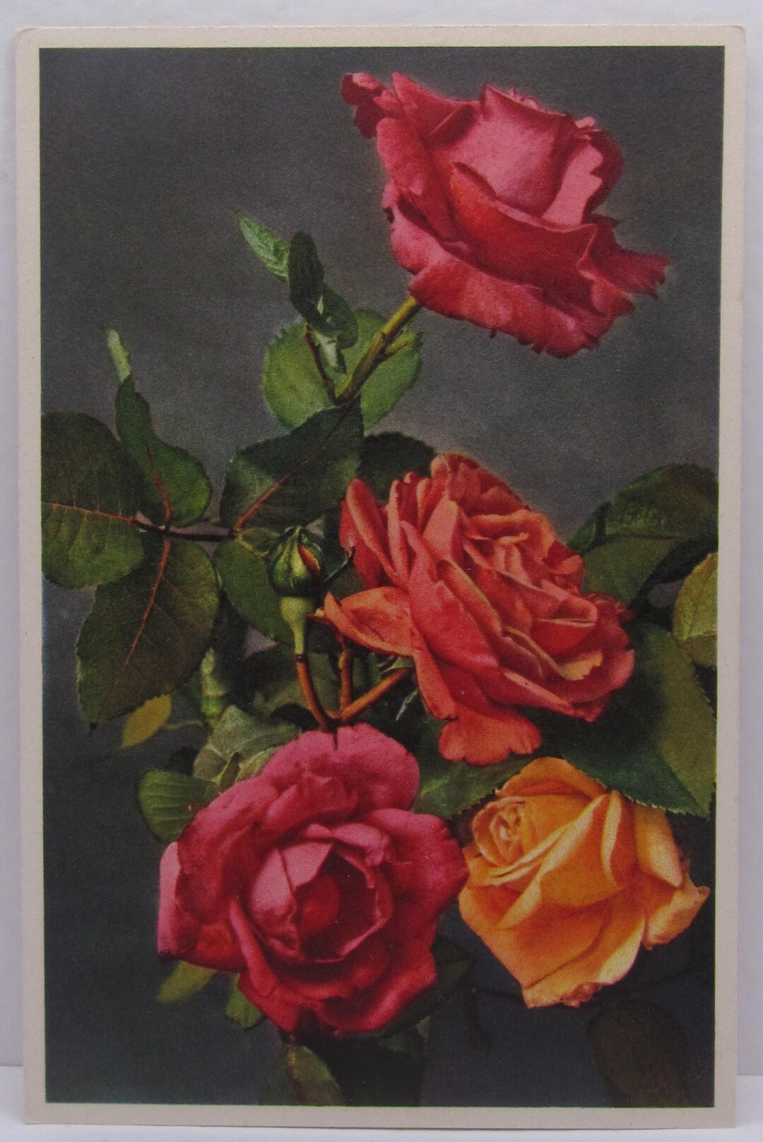 Precious Vintage Postcard of Beautiful Roses, Old Postcard Flowers ...