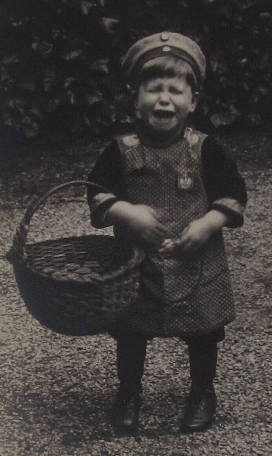 Funny German Vintage Postcard of a Boy With a Wicker Basket I Lost My ...