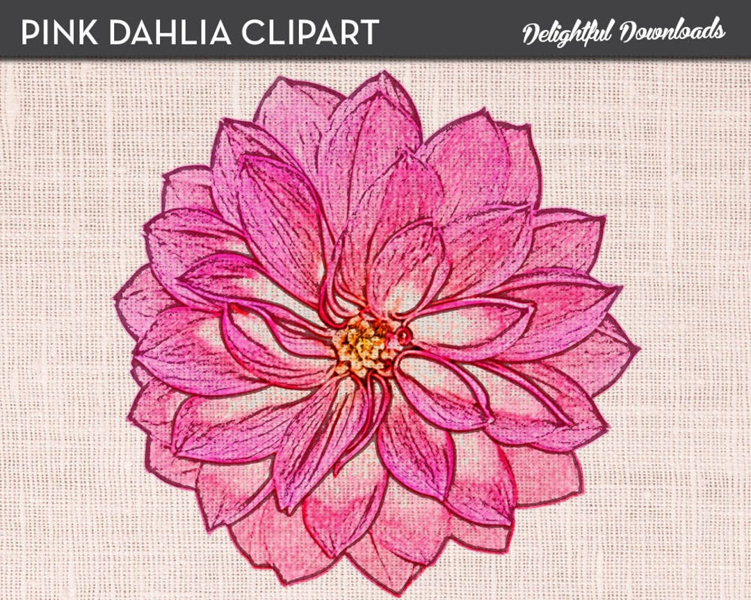 Pink Dahlia Flower Clip Art for Digital Collage or Iron-on Transfer - Etsy